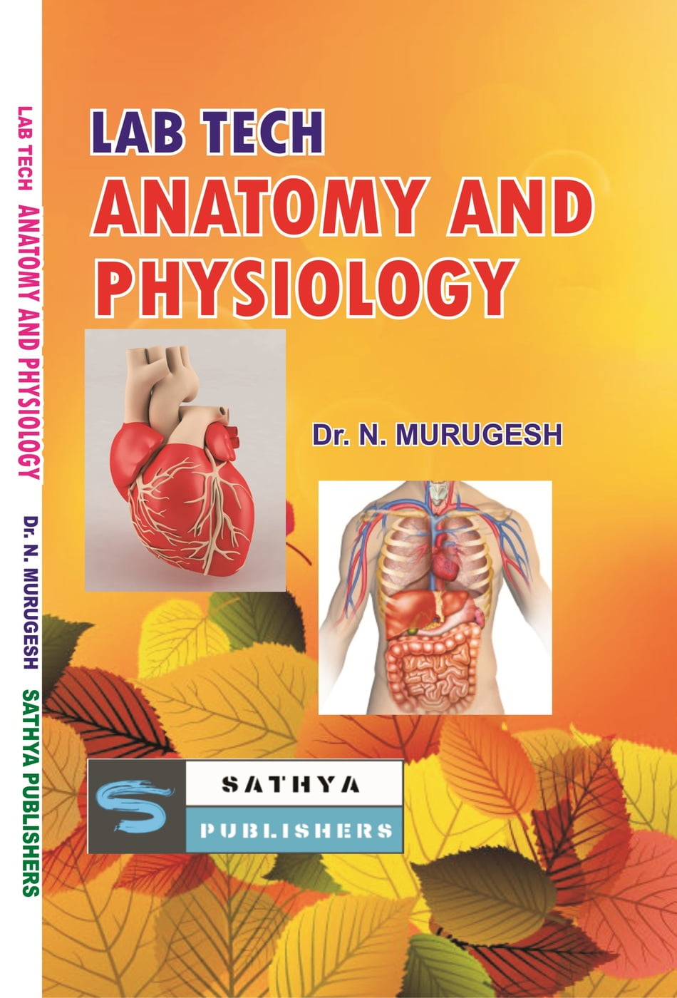 Lab Tech Anatomy And Physiology
